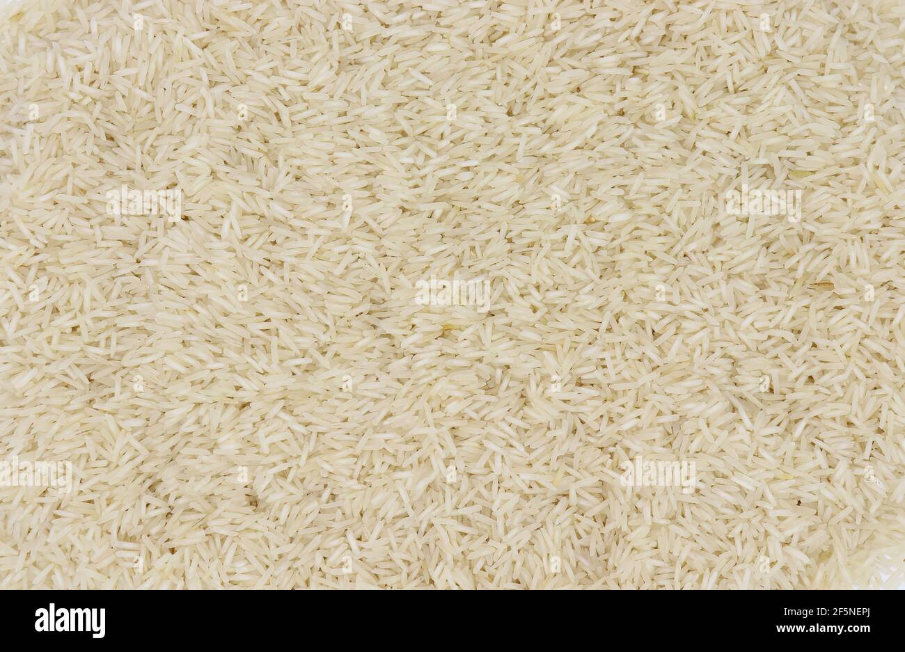 white rice detail texture background, close up shot of the rice ...