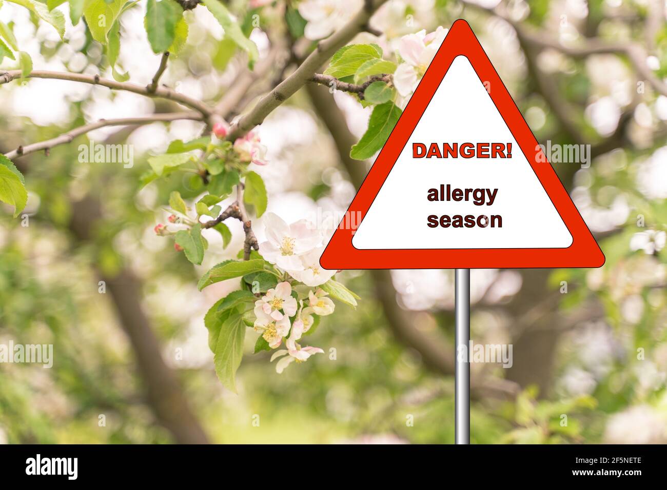 warning sign: danger allergy season against the background of a ...