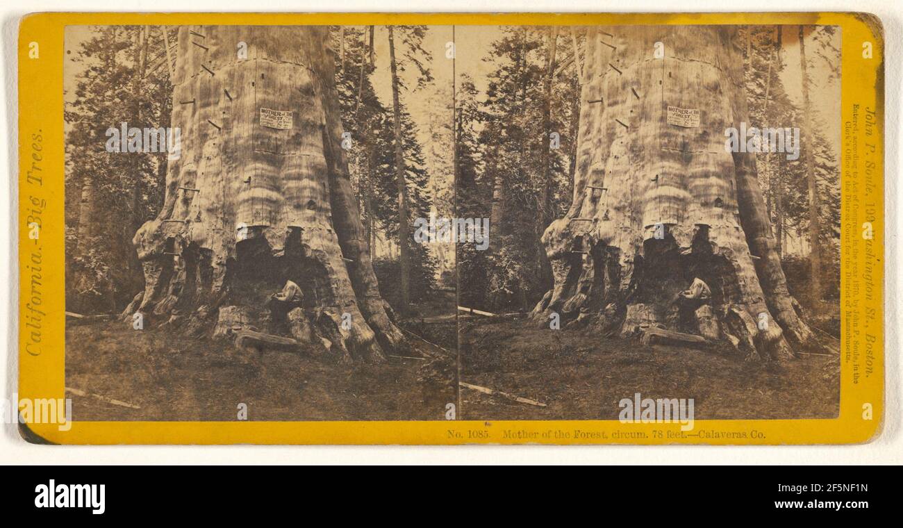 78 feet circum hi-res stock photography and images - Alamy