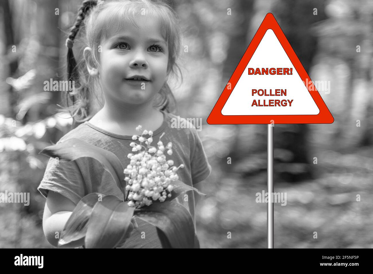 warning sign: danger pollen allergy. black and white portrait of a ...
