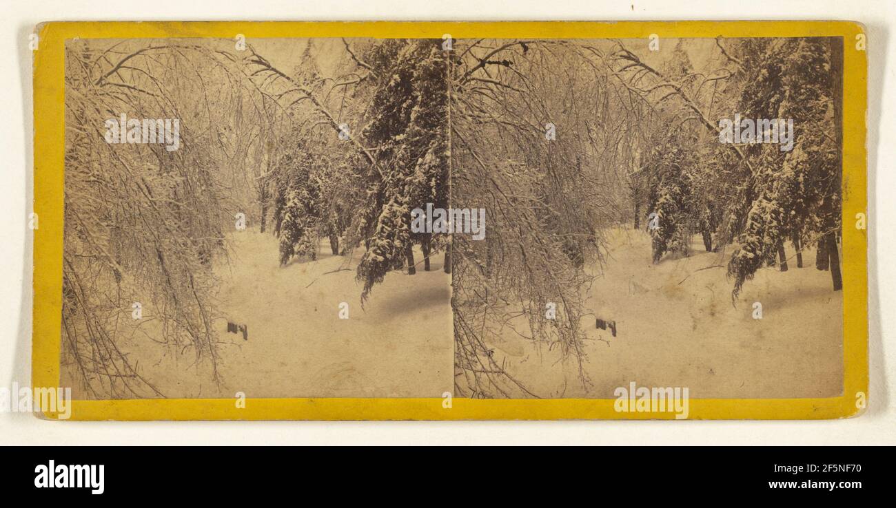 Winter in the Catskills. Ice and snow. Edward and Henry T. Anthony & Co ...