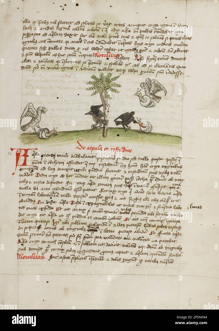 An Eagle Seizing a Snail; A Crow Pecking at a Snail. Unknown Stock ...