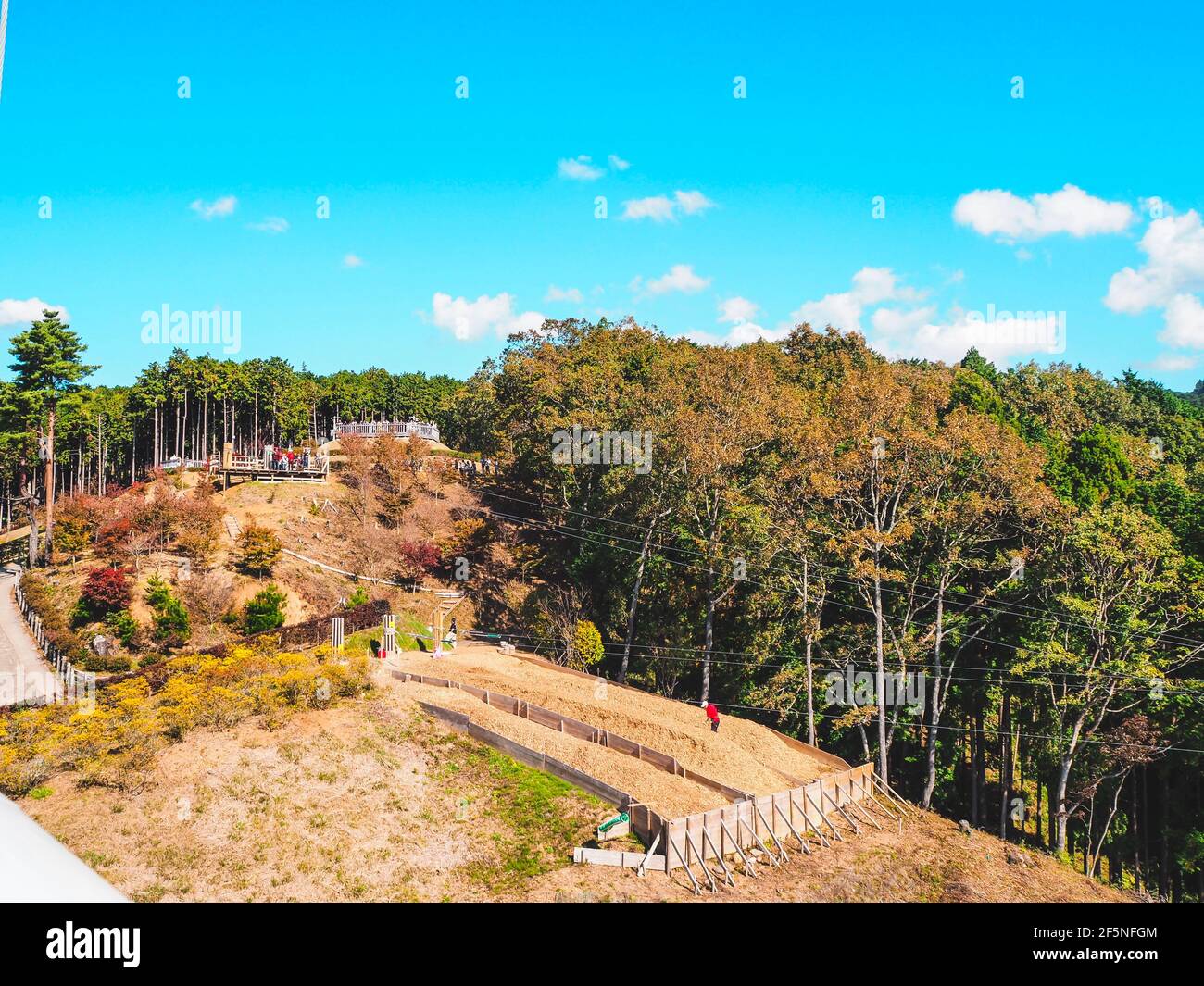 The beautiful of natural with blue sky in japan Stock Photo - Alamy
