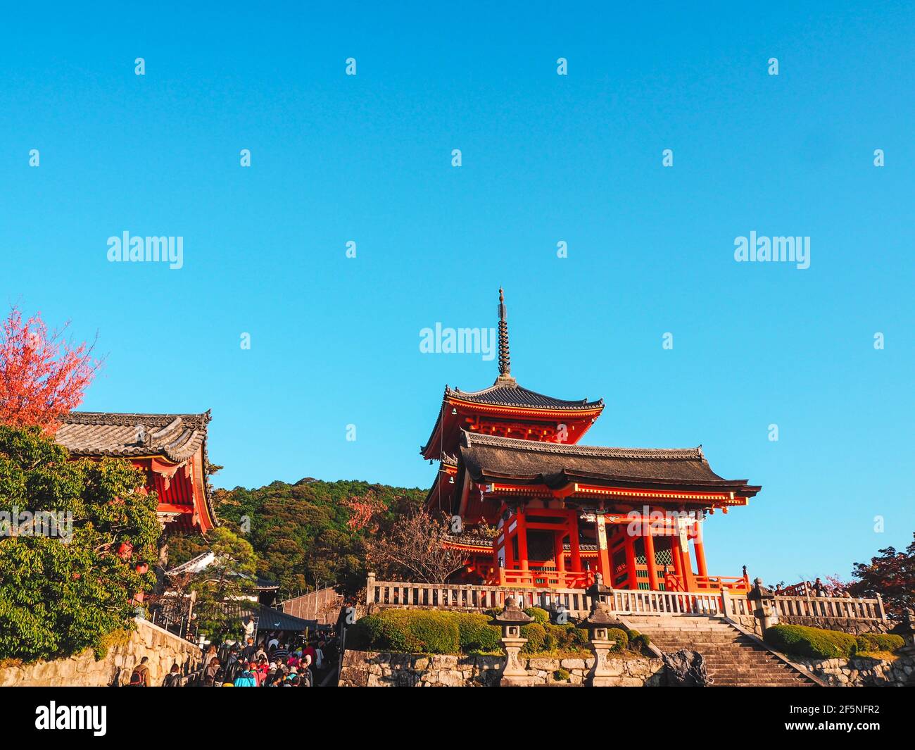 Japan sunset forest temple hi-res stock photography and images - Alamy