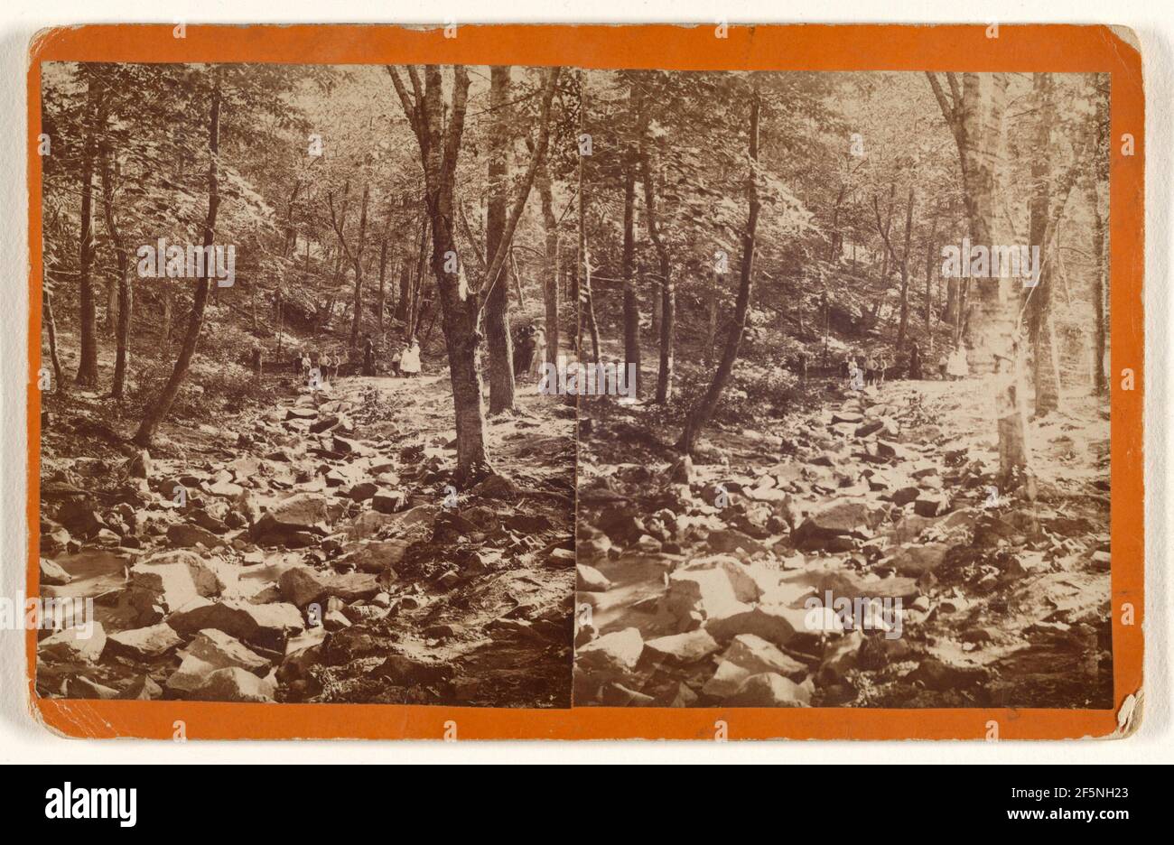 Outing in the woods, Reading, Pennsylvania. John D. Strunk (American ...