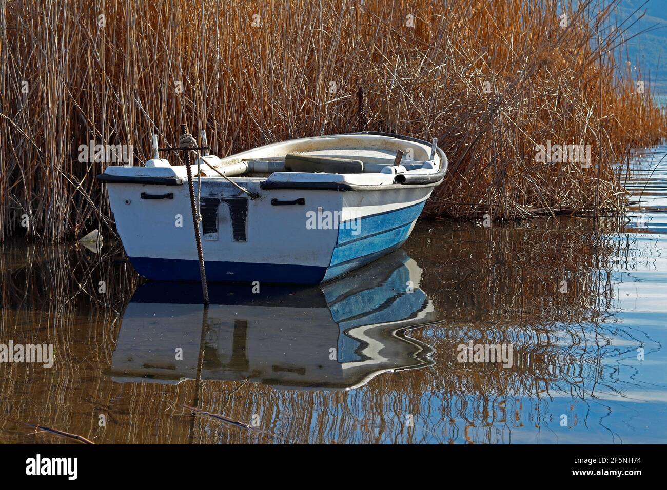 Volvi lake hi-res stock photography and images - Alamy