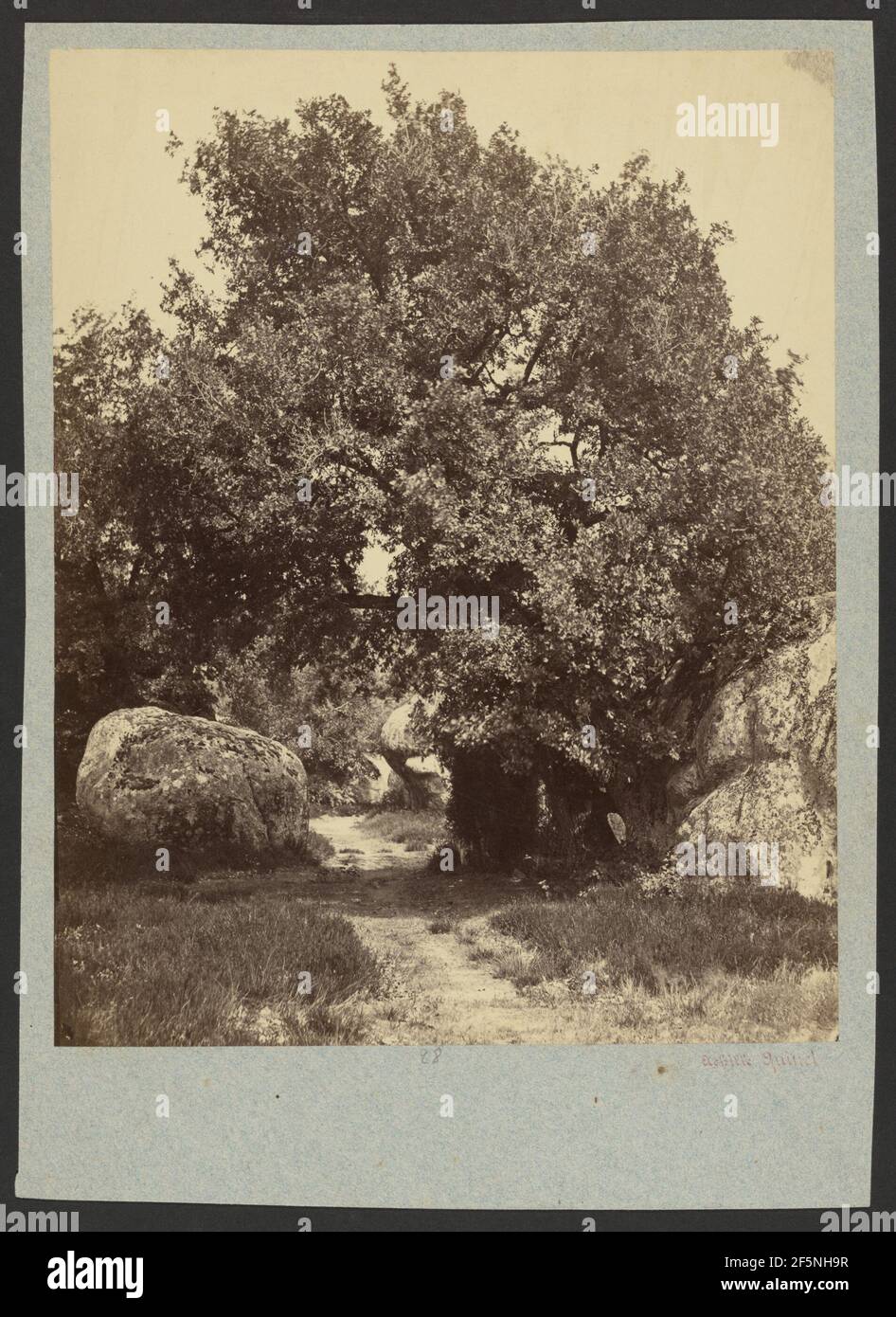 Achille quinet hi-res stock photography and images - Alamy