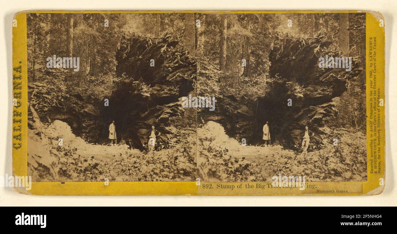 Stump of the Big Tree, Eagle Wing, Mammoth Grove.. Lawrence ...