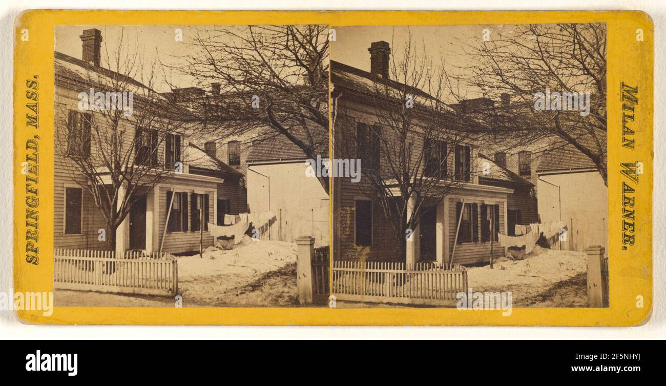 View of Springfield, Mass., After the Great Fire of May 30, 1875 ...