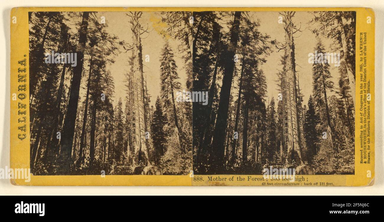 65 feet hi-res stock photography and images - Alamy