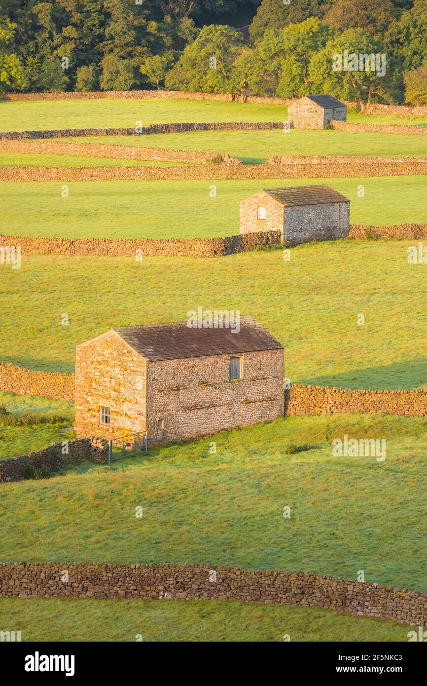 Golden light on old stone barns, stone walls at the village of ...