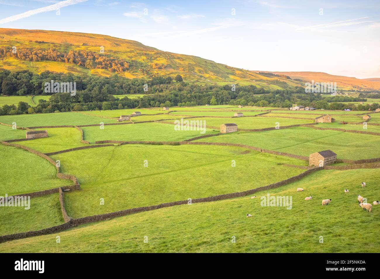 Old stone barns, stone walls and sheep at the village of Gunnerside in ...