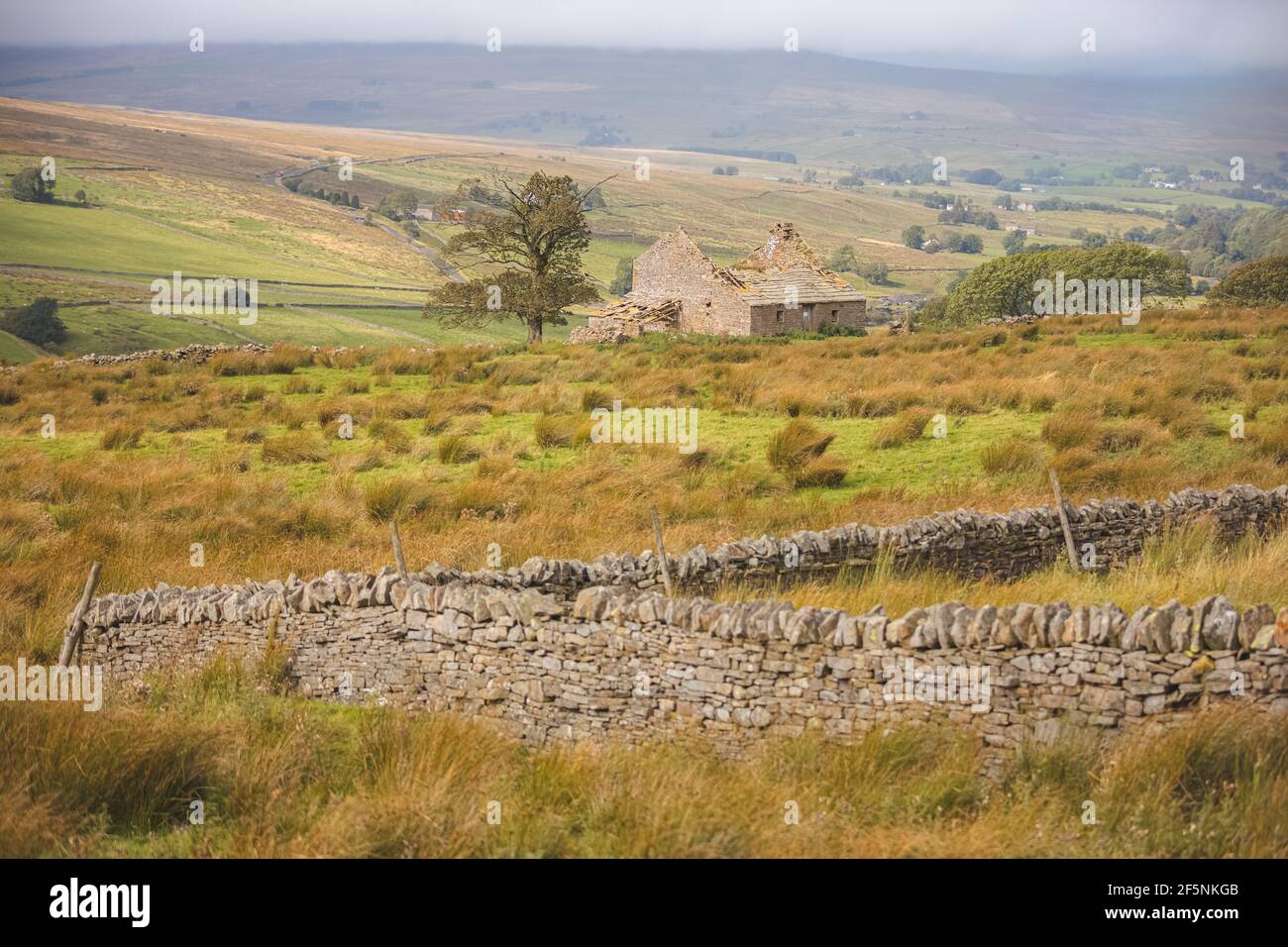 An old abandoned country croft house and stone wall in the rural ...
