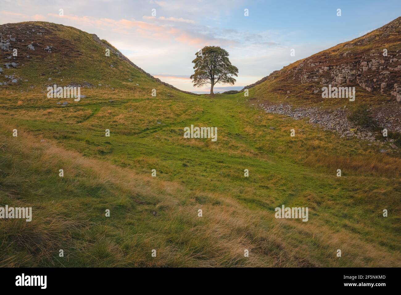 Sunset hexham hi-res stock photography and images - Alamy
