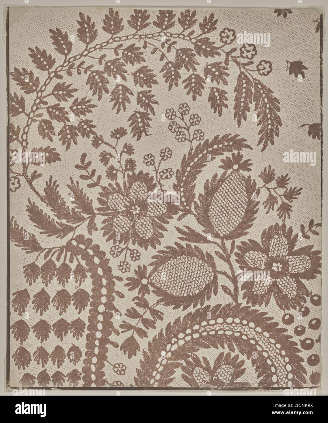 (Lace). William Henry Fox Talbot (English, 1800 - 1877 Stock Photo - Alamy