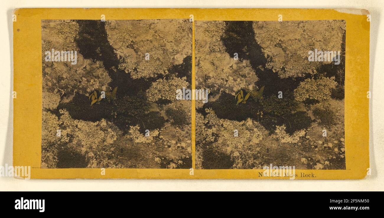 Moss Rock.. Benjamin West Kilburn (American, 1827 - 1909 Stock Photo ...