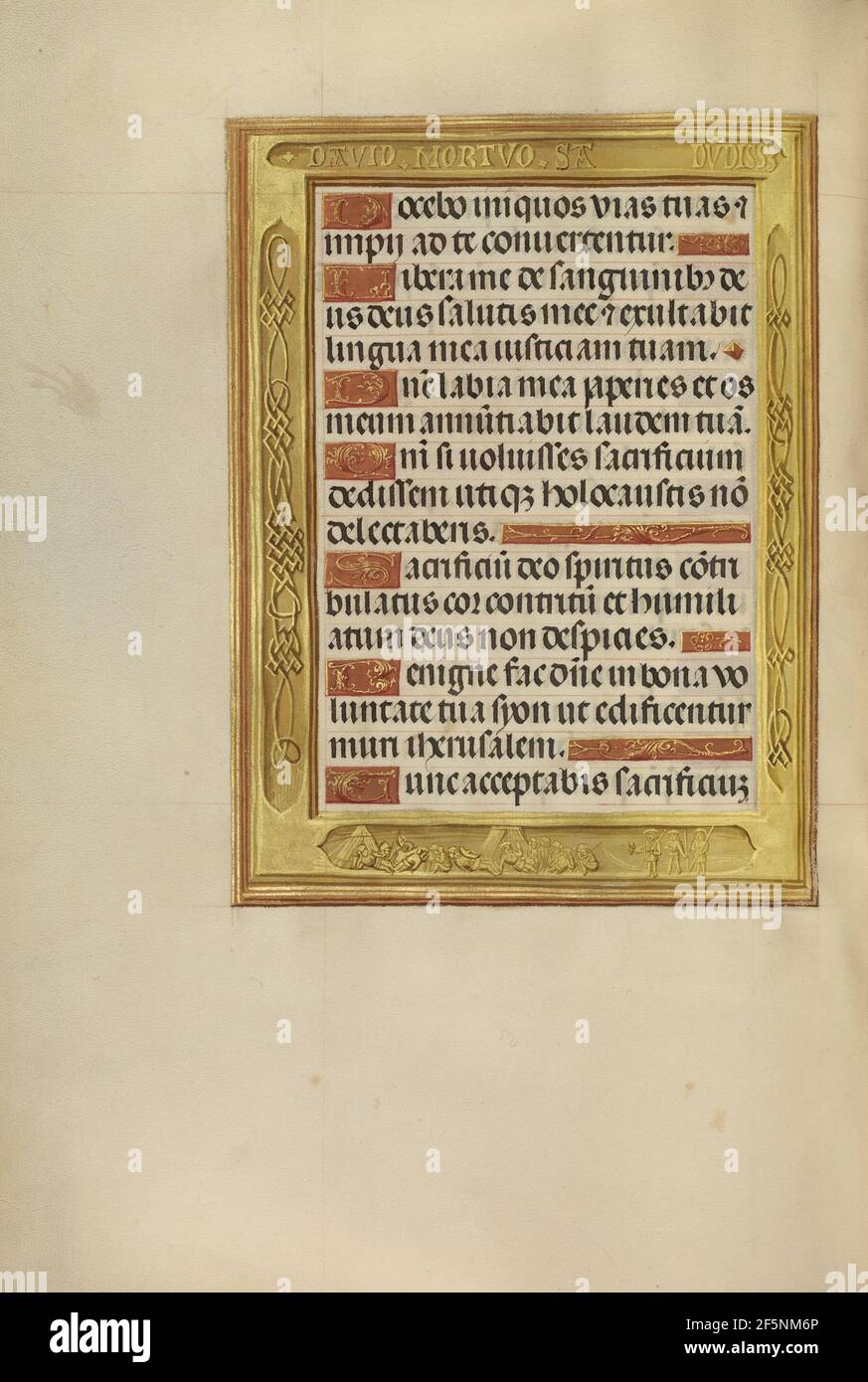 David power cup hi-res stock photography and images - Alamy