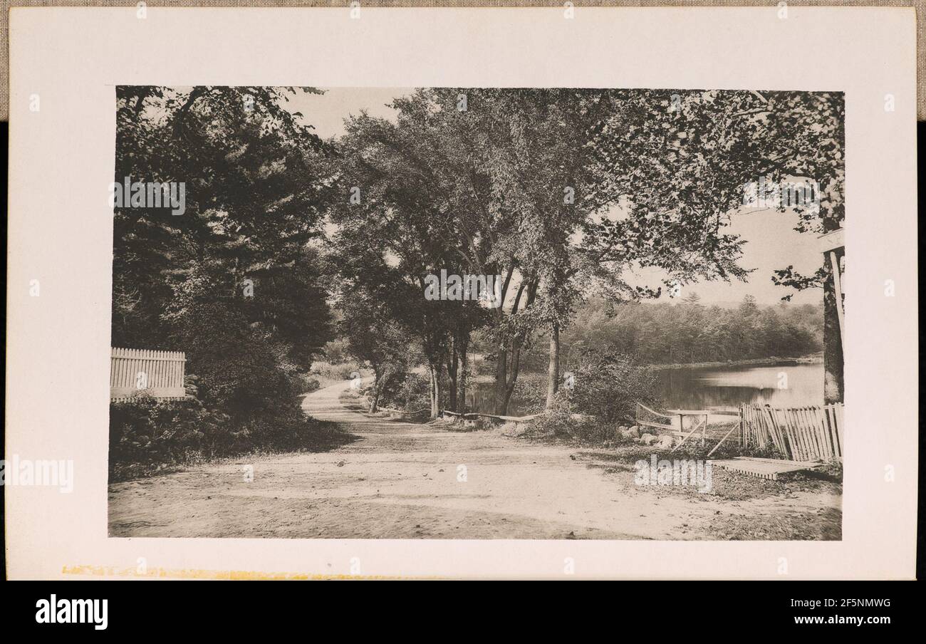 Old Road, as Seen from the Hill Leading to Spot Pond, on the Route from ...