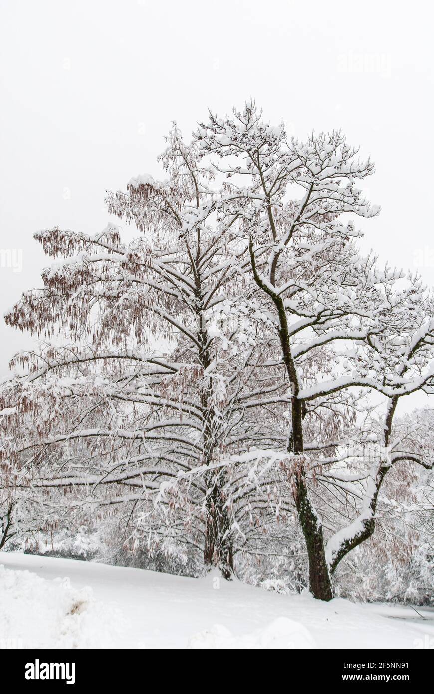 Hazy weather hi-res stock photography and images - Alamy