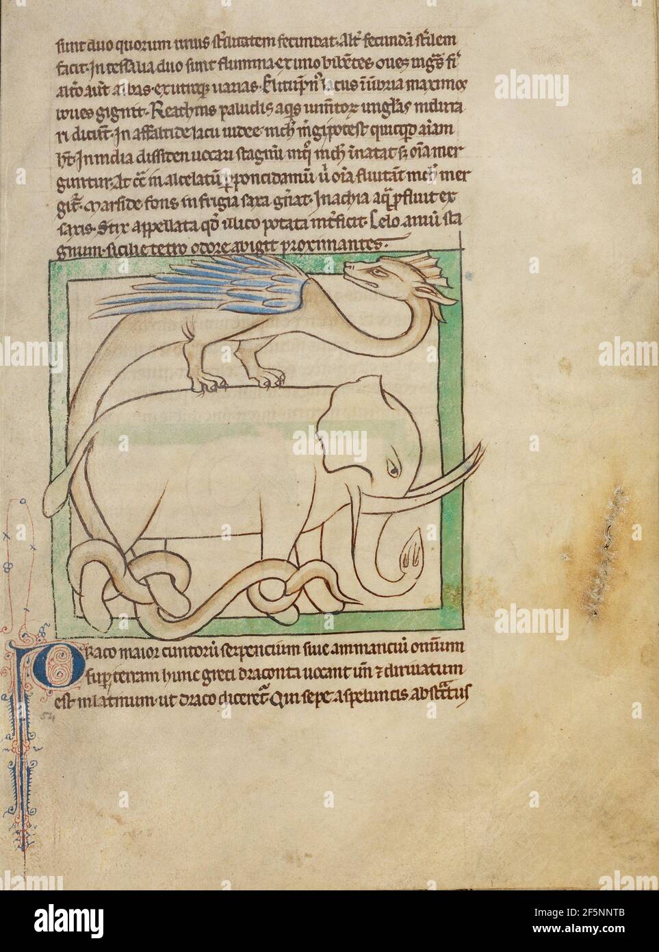 A Dragon. Unknown Stock Photo - Alamy