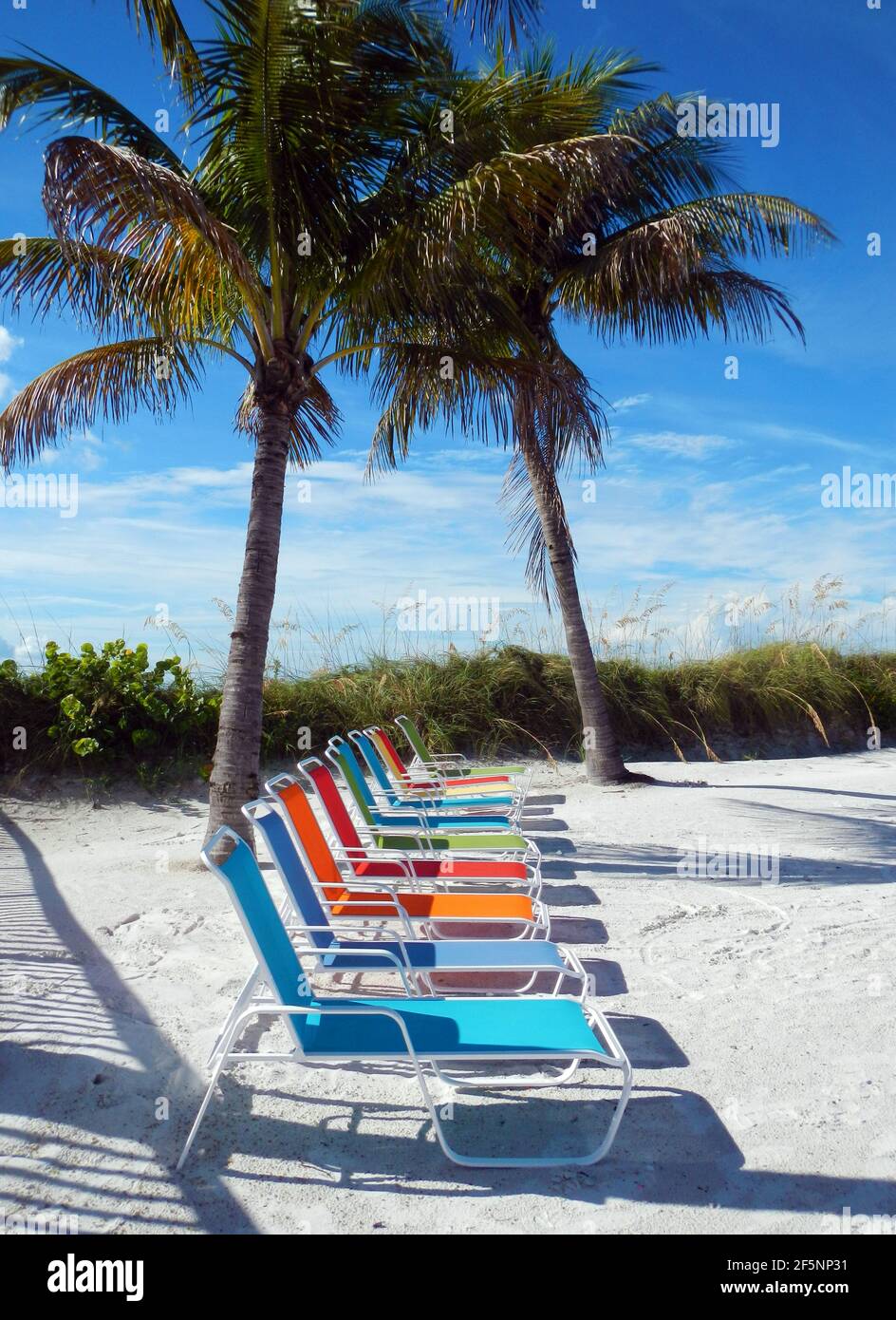 Vertical shot of colorful beach chairs on a tropical beach during ...