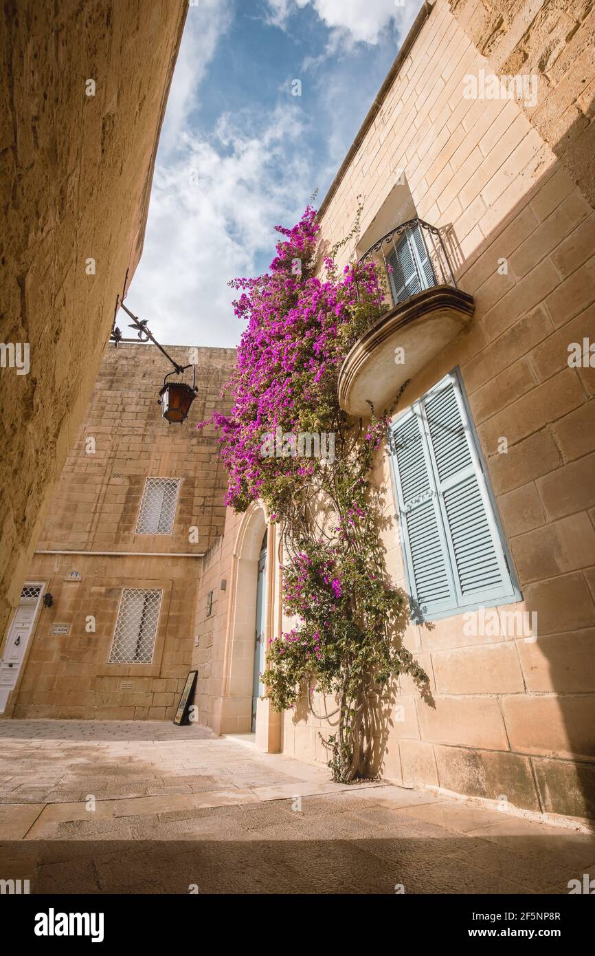 Mdina, Rabat, Attard, Malta Stock Photo - Alamy