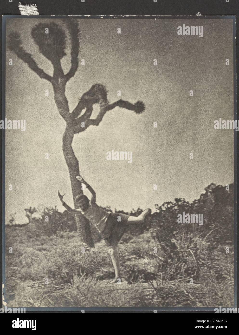 Lithe and Graceful - Dancing Joshua. Louis Fleckenstein (American, 1866 ...