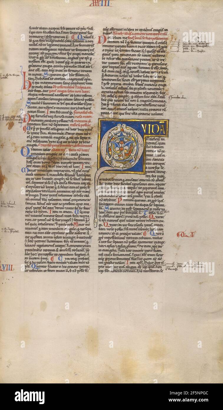 Inhabited initial q hi-res stock photography and images - Alamy