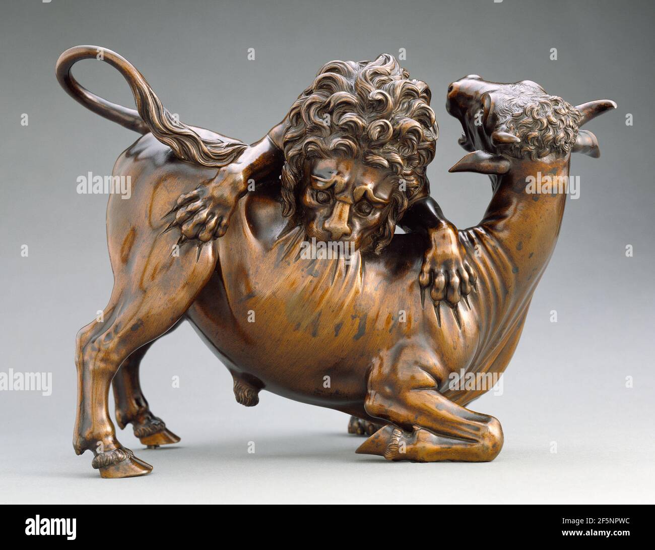 Lion Attacking a Bull Stock Photo - Alamy