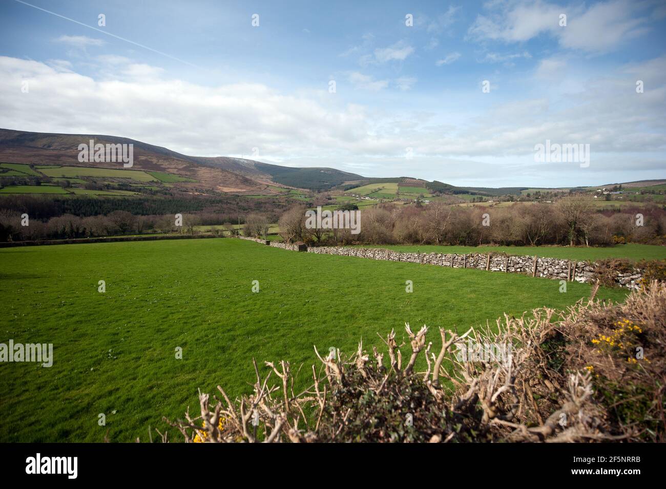 Mount Leinster, County Carlow, Ireland, Europe Stock Photo - Alamy