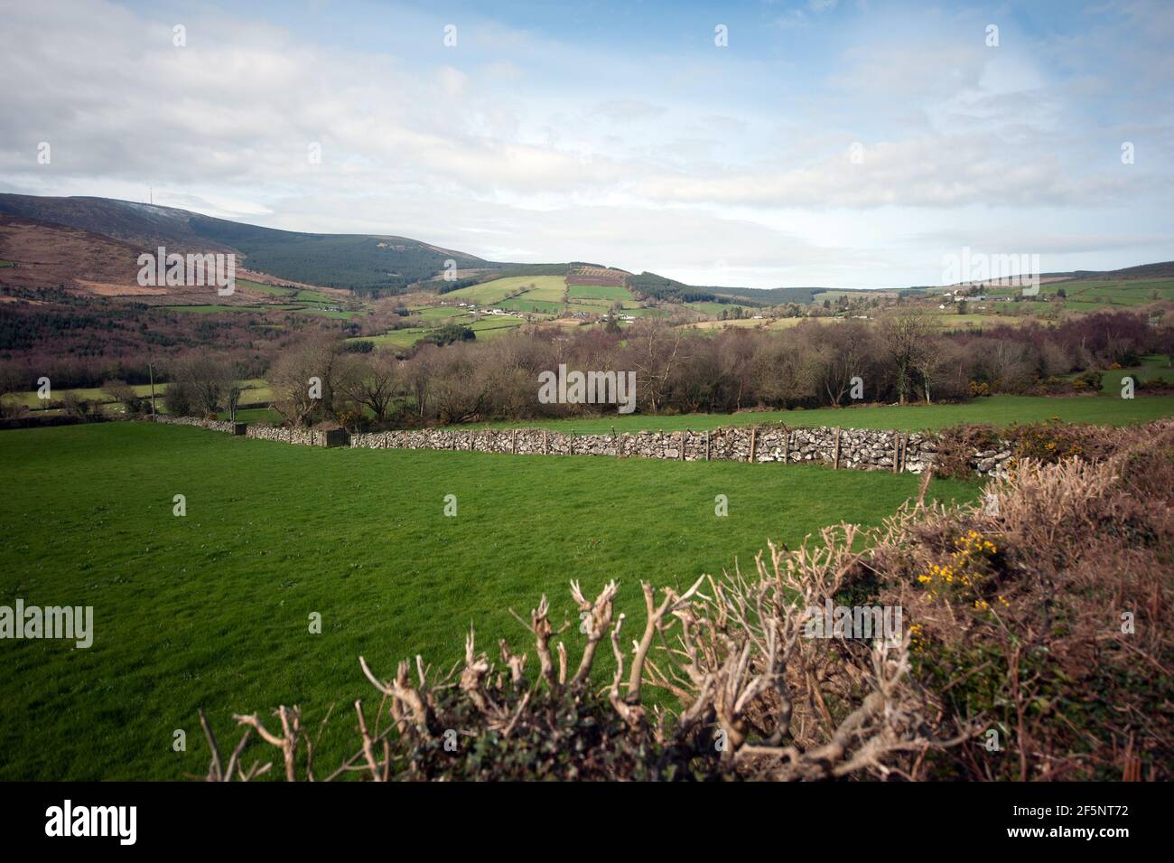 Mount Leinster, County Carlow, Ireland, Europe Stock Photo - Alamy