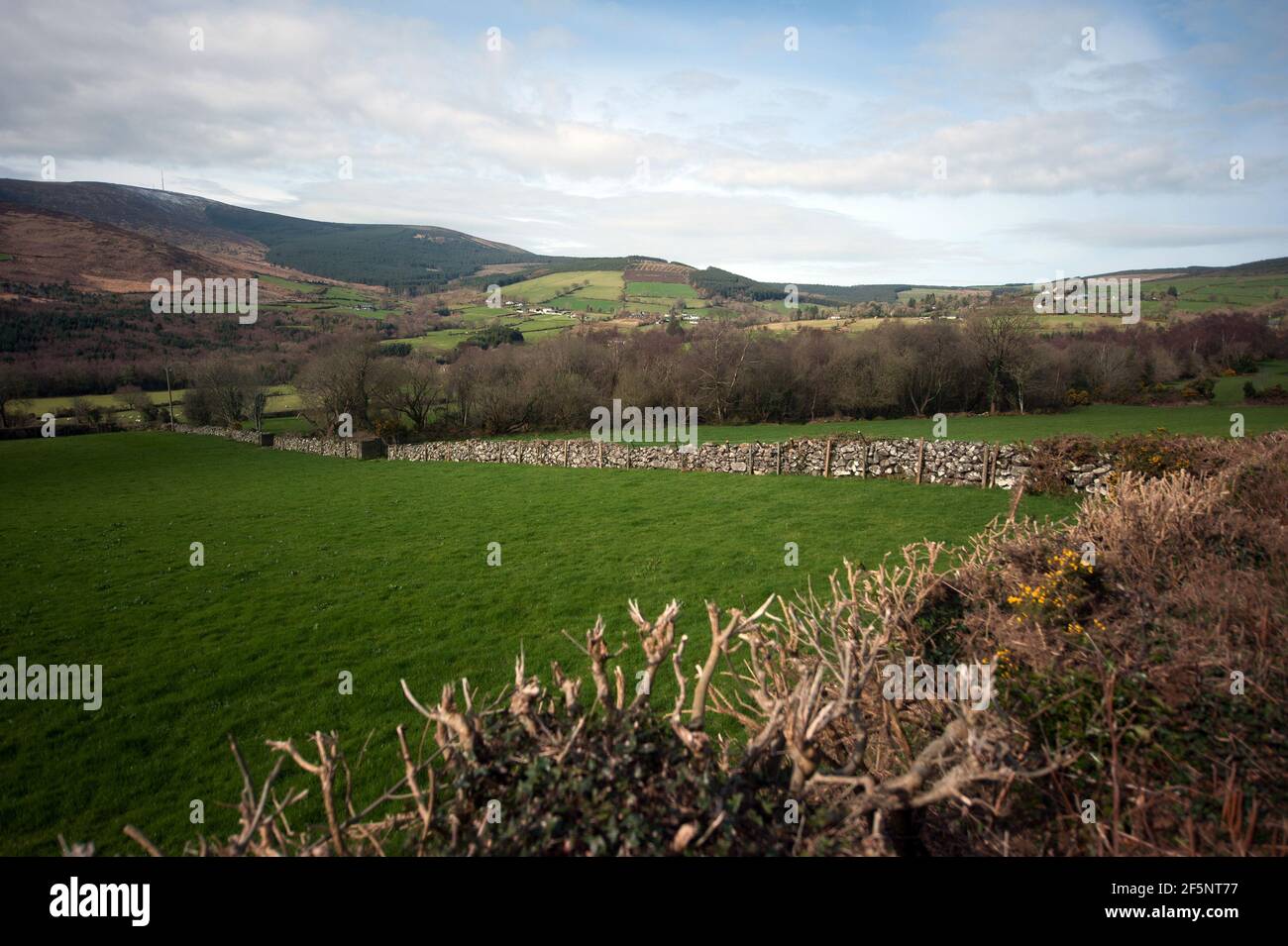 Mount Leinster, County Carlow, Ireland, Europe Stock Photo - Alamy