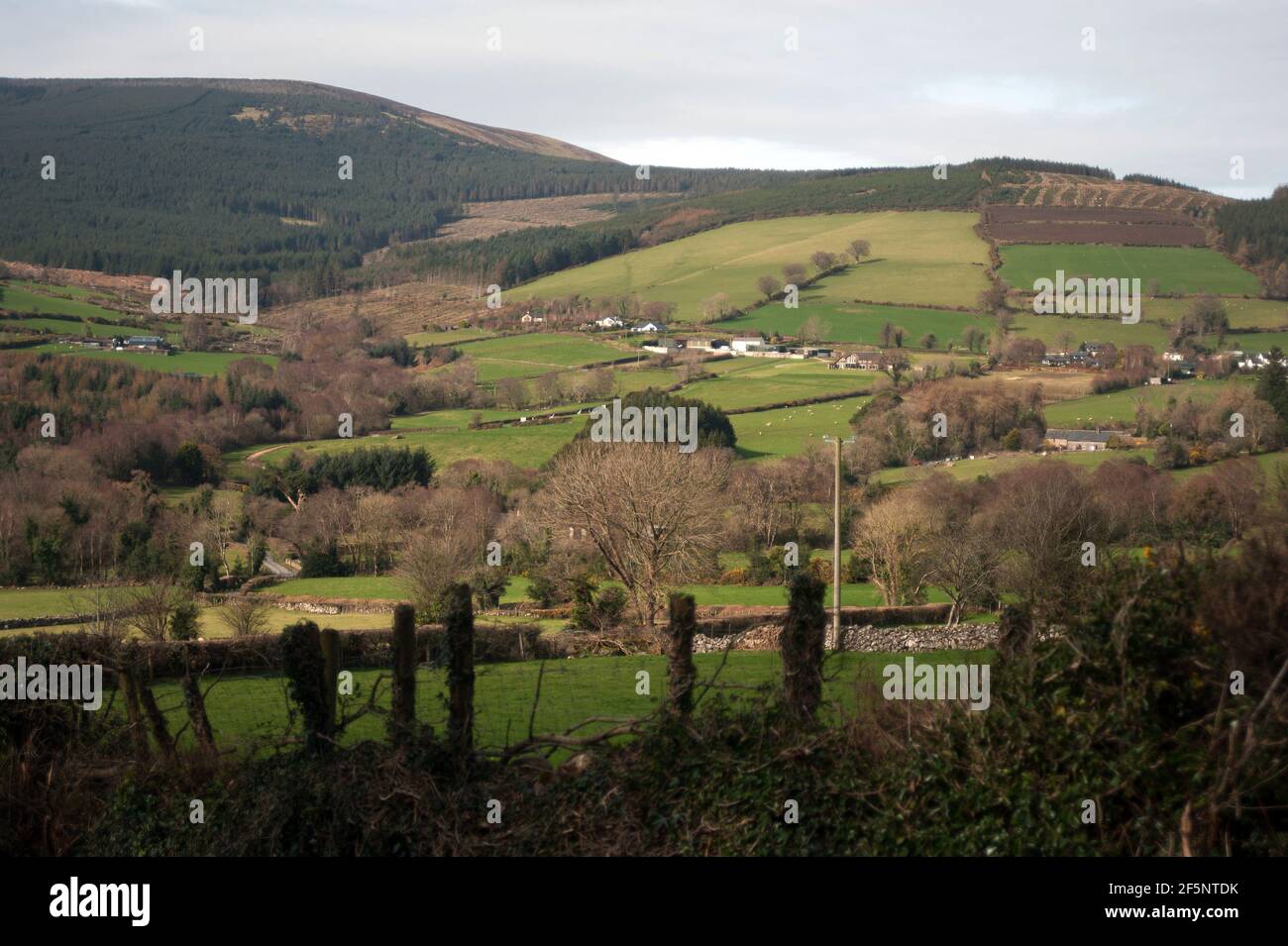 Mount Leinster, County Carlow, Ireland, Europe Stock Photo - Alamy