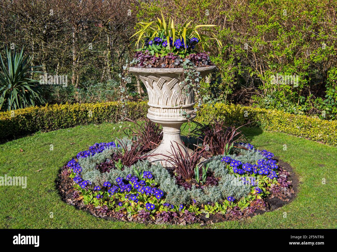 Purple garden display hi-res stock photography and images - Alamy