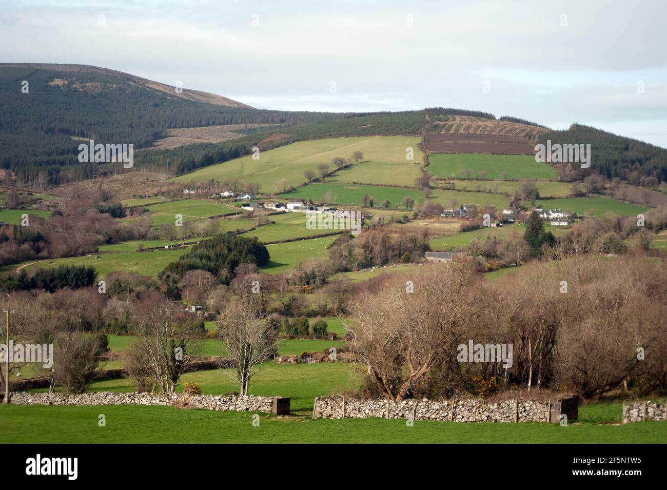 Mount Leinster, County Carlow, Ireland, Europe Stock Photo - Alamy