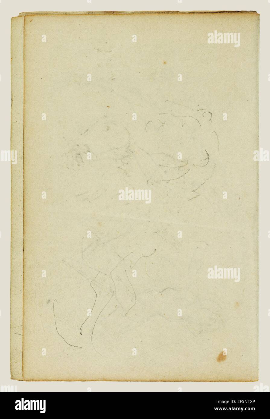 Sketches of head and hind legs of a lion. Théodore Géricault (French ...