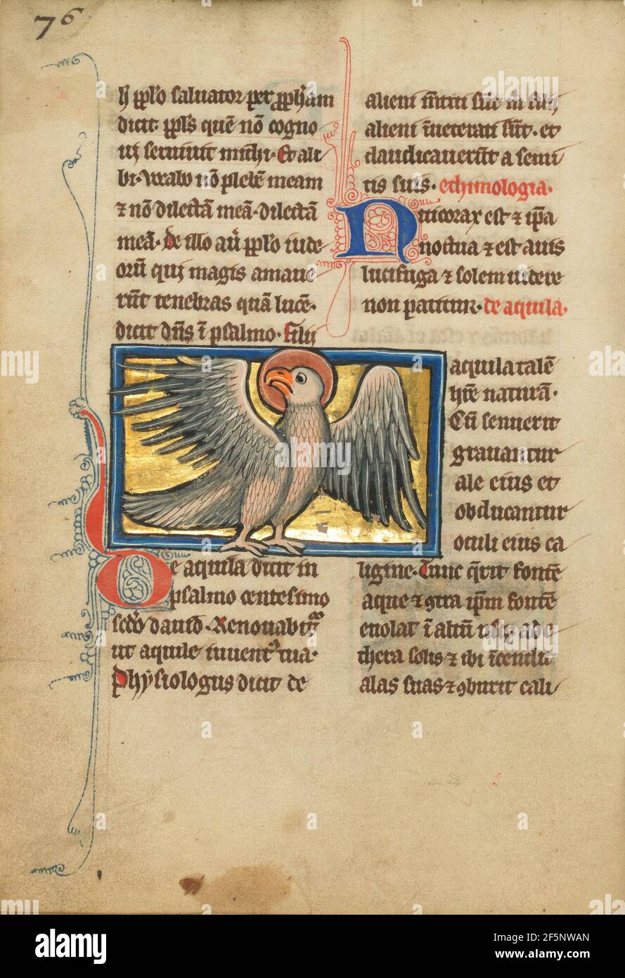 An Eagle. Unknown Stock Photo - Alamy