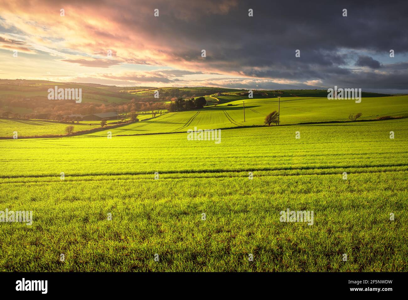 Typical Irish Landscape Stock Photo - Alamy