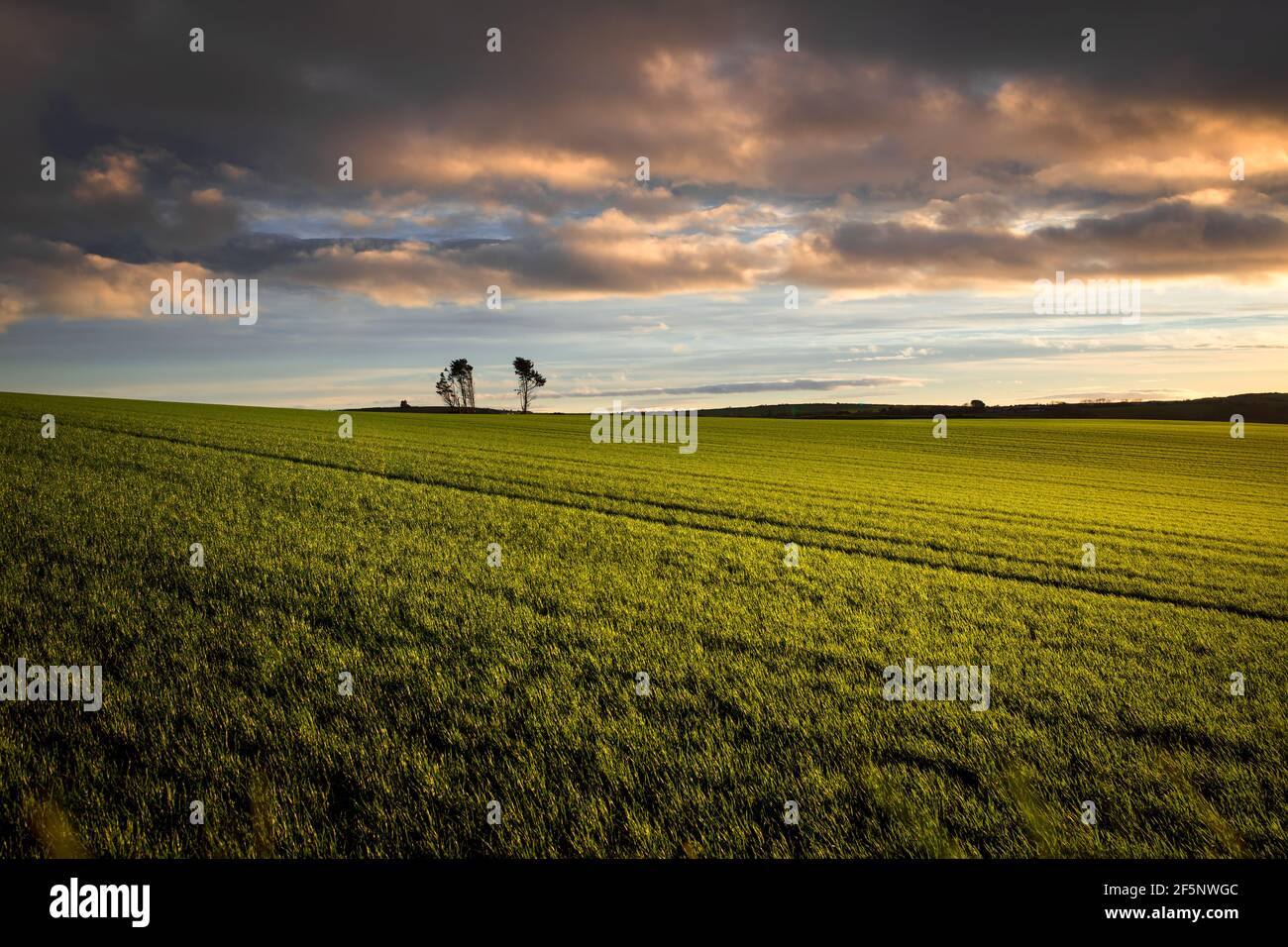 Typical irish landscape hi-res stock photography and images - Alamy