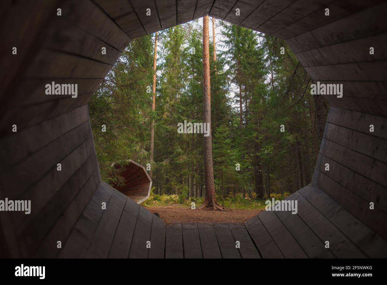 Funny man made large wooden speaking tube in harmony with nature on ...