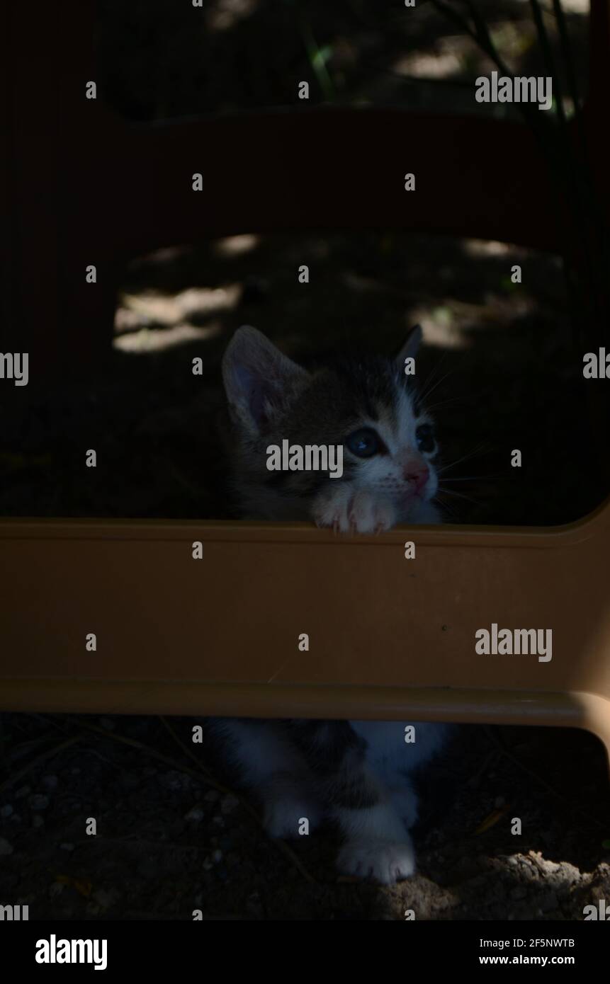 Grab a chair hi-res stock photography and images - Alamy