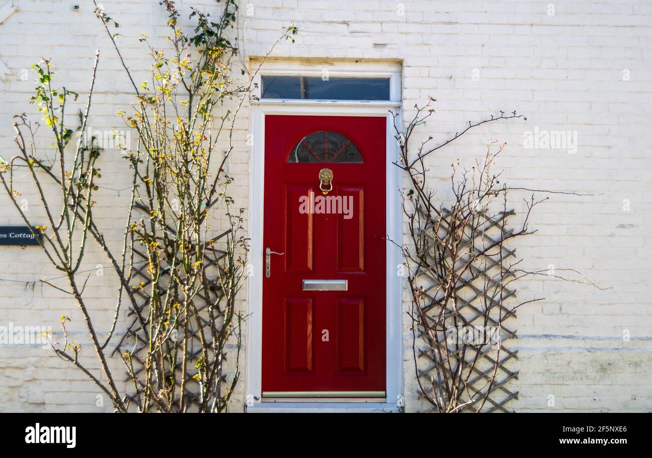 Wallingford, UK 23 Feb 2021: White house wall with beautiful deep red ...