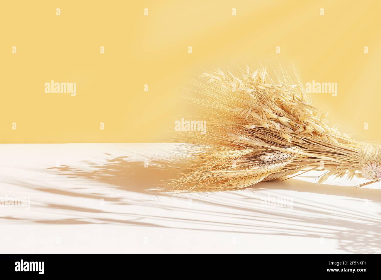 Wheat Background Powerpoint