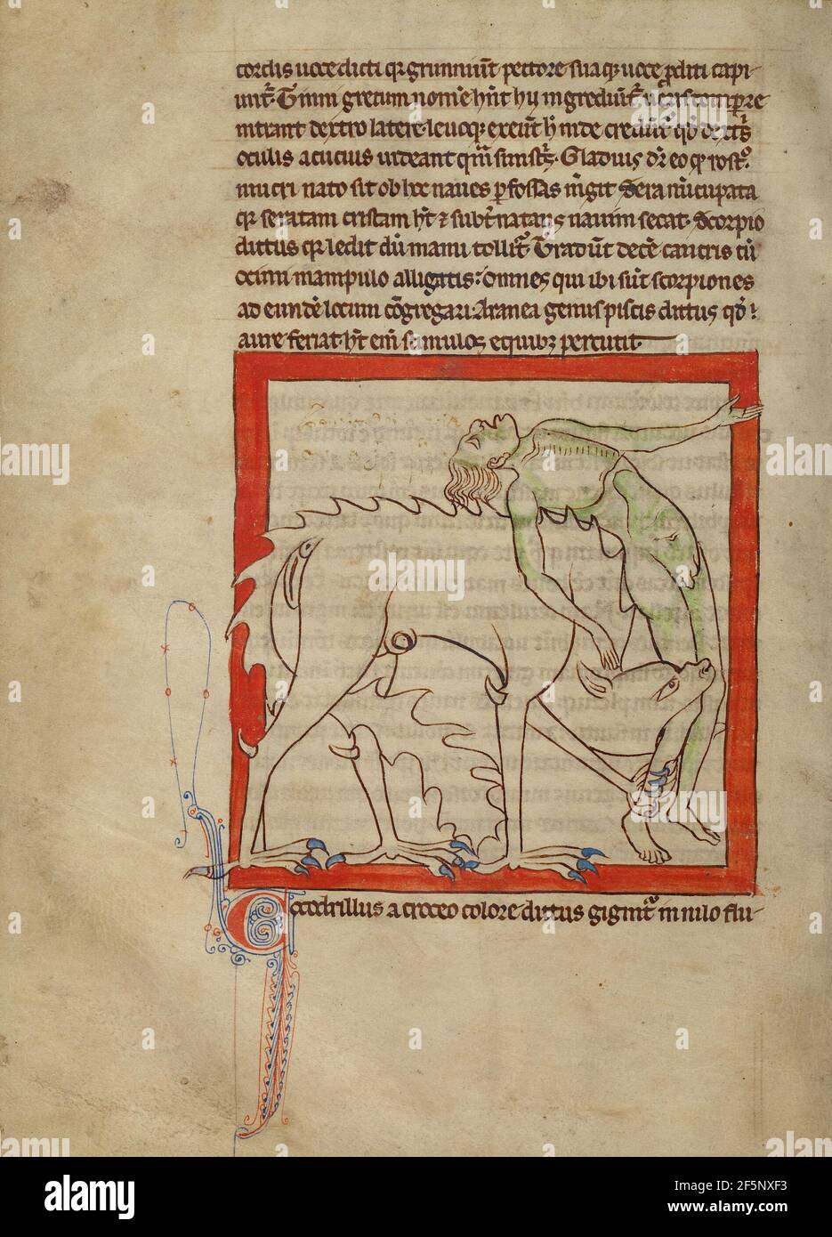 A Crocodile. Unknown Stock Photo - Alamy