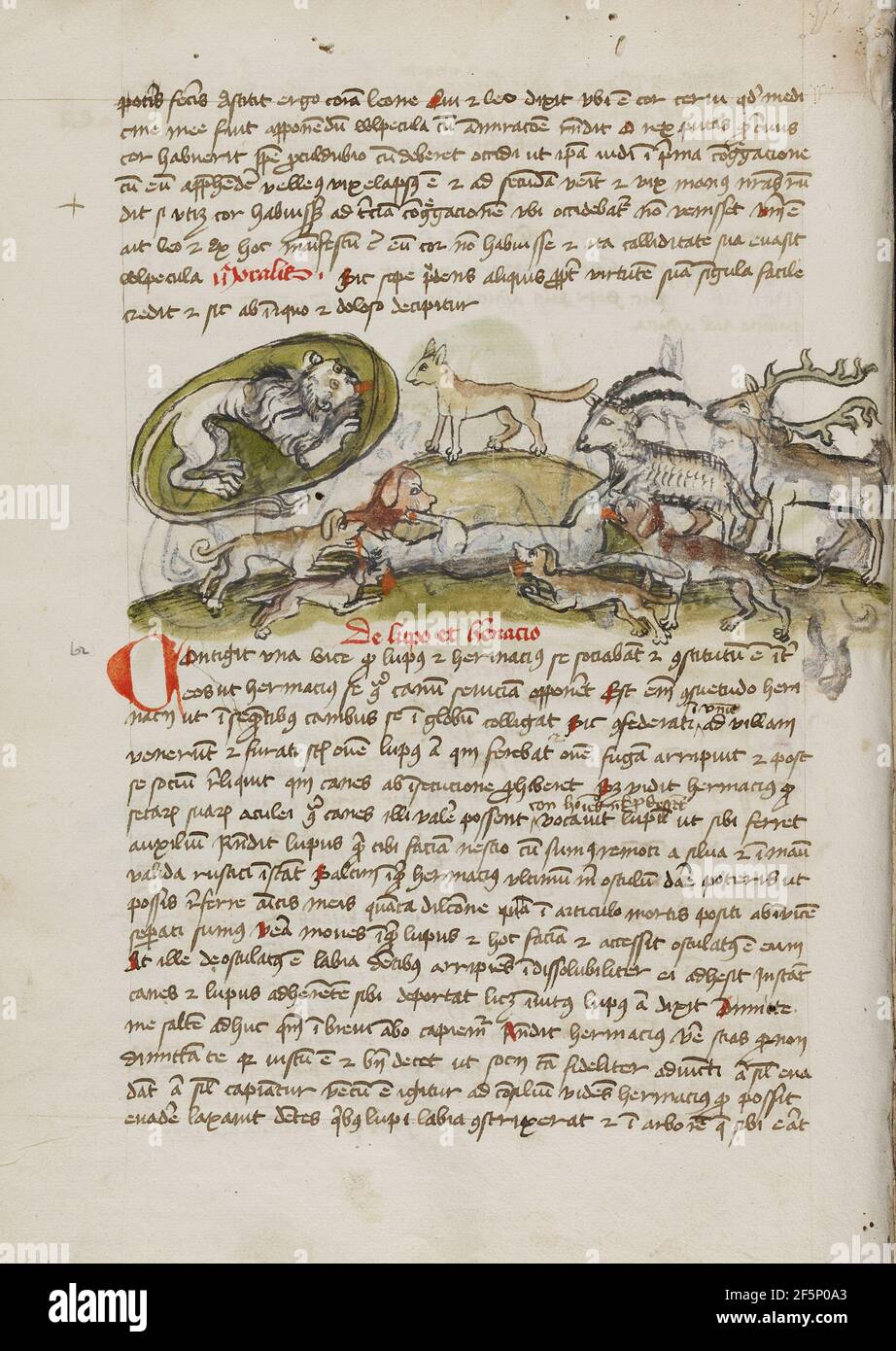 A Lion in its Den and Animals Biting a Wolf. Unknown Stock Photo - Alamy