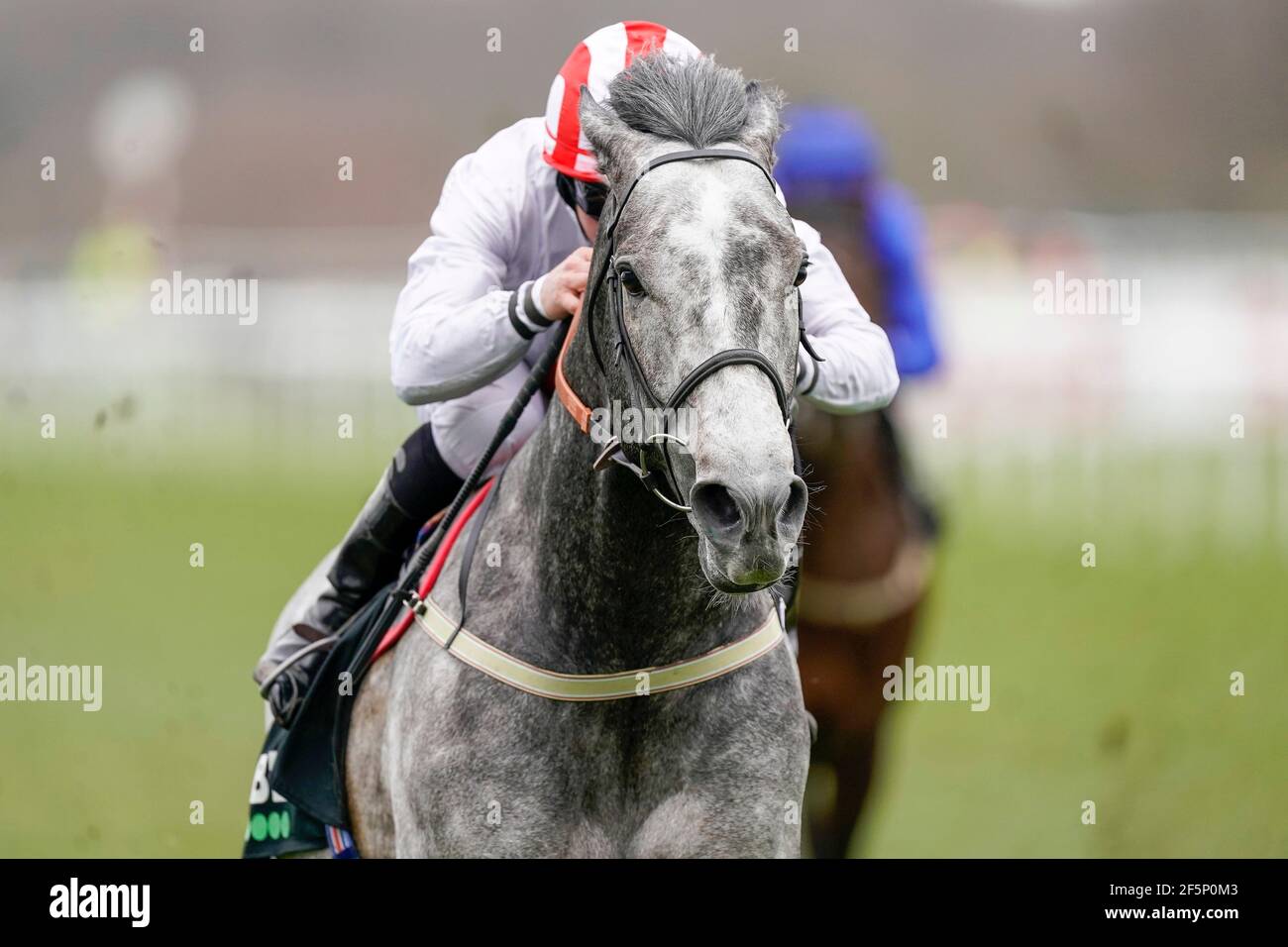 Top rank ridden hi-res stock photography and images - Alamy