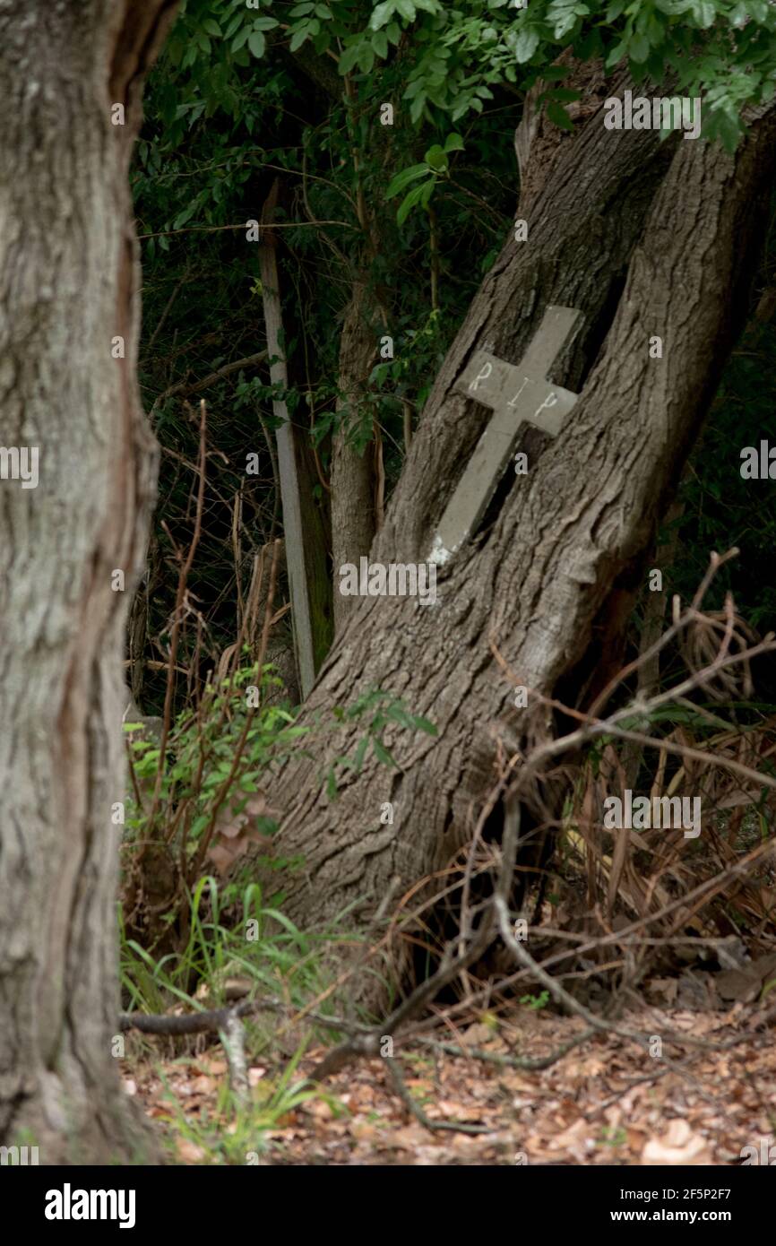 crucifix on a tree trunk. Grave Stock Photo - Alamy