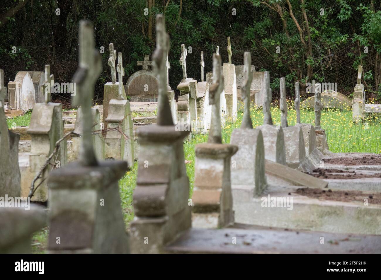 cemetery on Martín García Island Stock Photo - Alamy