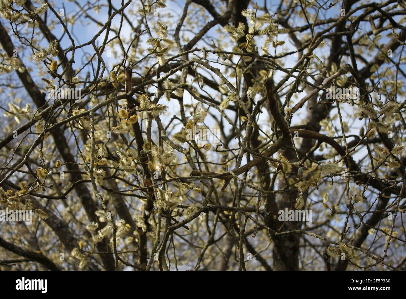 Semi urban parks hi-res stock photography and images - Alamy