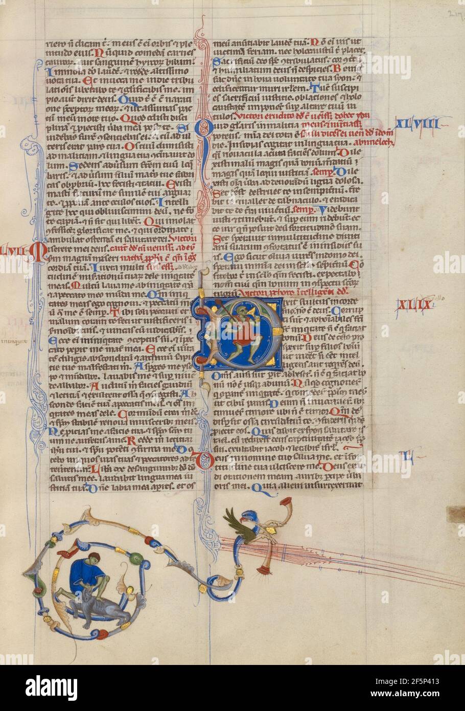 Fool medieval manuscript hi-res stock photography and images - Alamy